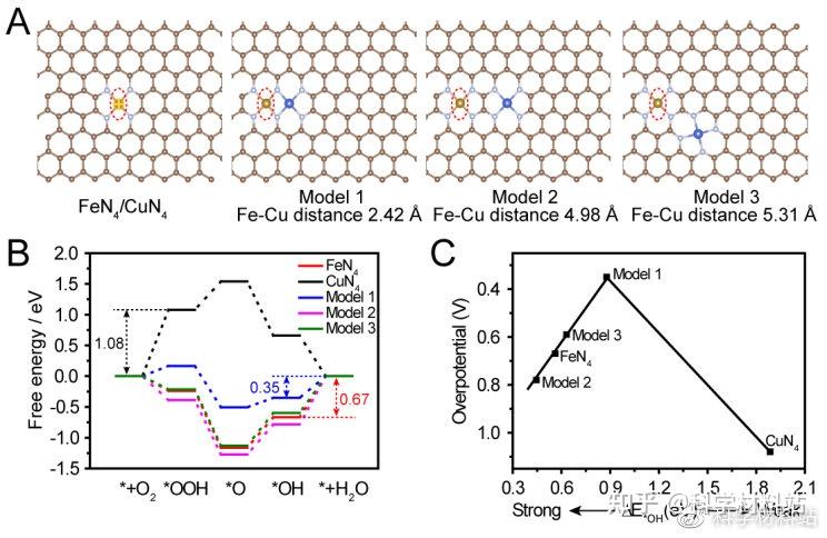 湖南大学韩磊&中国科学院上海高等研究院李丽娜CEJ： Fe/Cu双金属单原子位点催化剂助力高效氧还原 - 知乎
