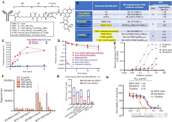 国内外知名企业ADC技术平台(第八期，普众发现) - 知乎