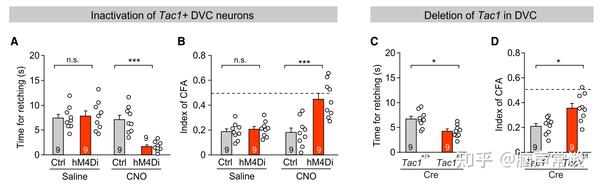 Cell丨北京生命科学研究所曹鹏课题组揭示背侧迷走复合体相关环路介导了食物中毒和化疗引起的防御反应 - 知乎