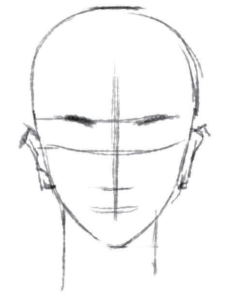 绘制美人脸 猫君大白 知乎结局全文后续