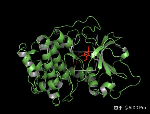 PyMOL进阶教程【02】分析蛋白活性口袋并测量体积 - 知乎