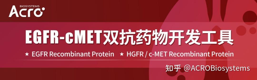 【双抗布局】——EGFR / c-MET：大厂必争的肺癌高地 - 知乎