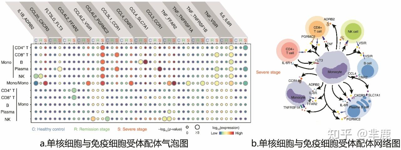 CellChat细胞通讯分析（上）--文献解读 - 知乎