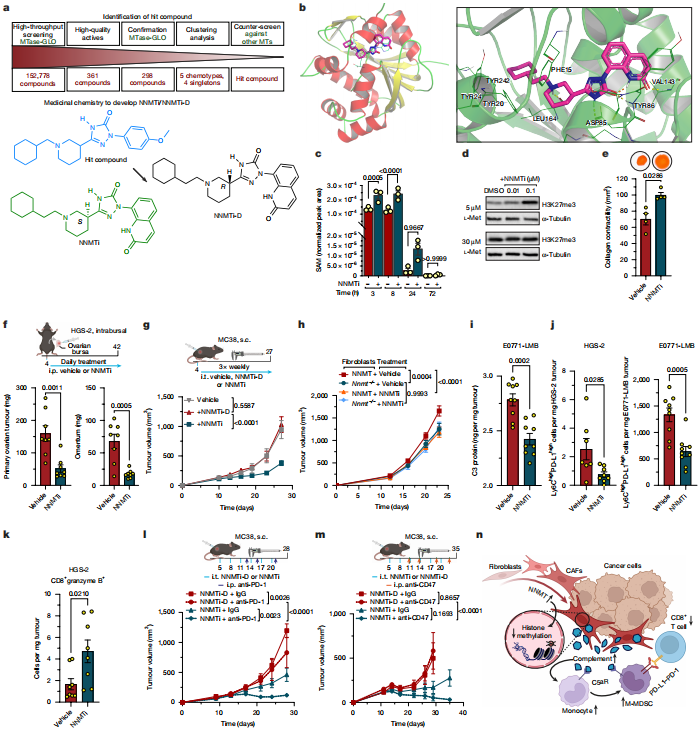 Nature｜抑制癌相关成纤维细胞中的NNMT，恢复抗肿瘤免疫 - 知乎
