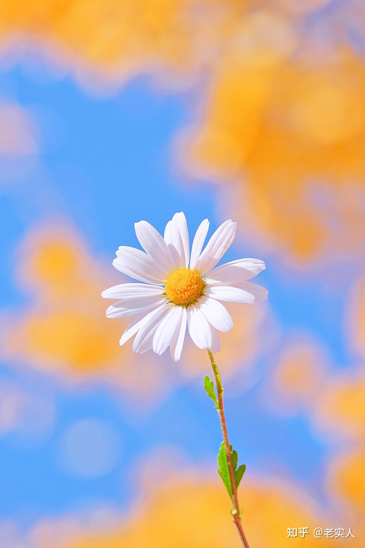 天道酬勤 - 知乎