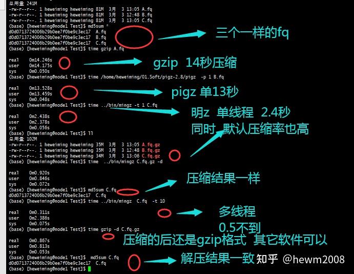 快如闪电：Linux多线程压缩软件MingZ ( 一个比pigz 和gzip还快) - 知乎