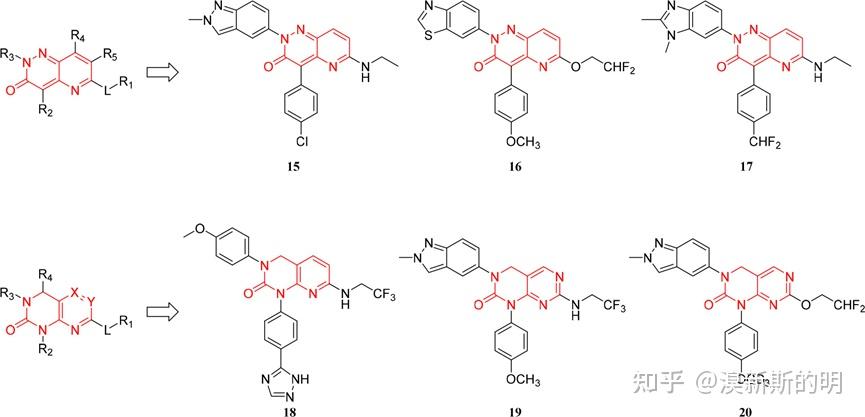 甲硫氨酸腺苷转移酶2A (MAT2A)作为抗癌靶点的结构、功能和抑制剂 - 知乎