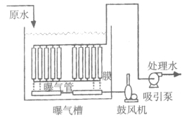 污水处理BBR、A2O、MBR工艺比选 - 知乎