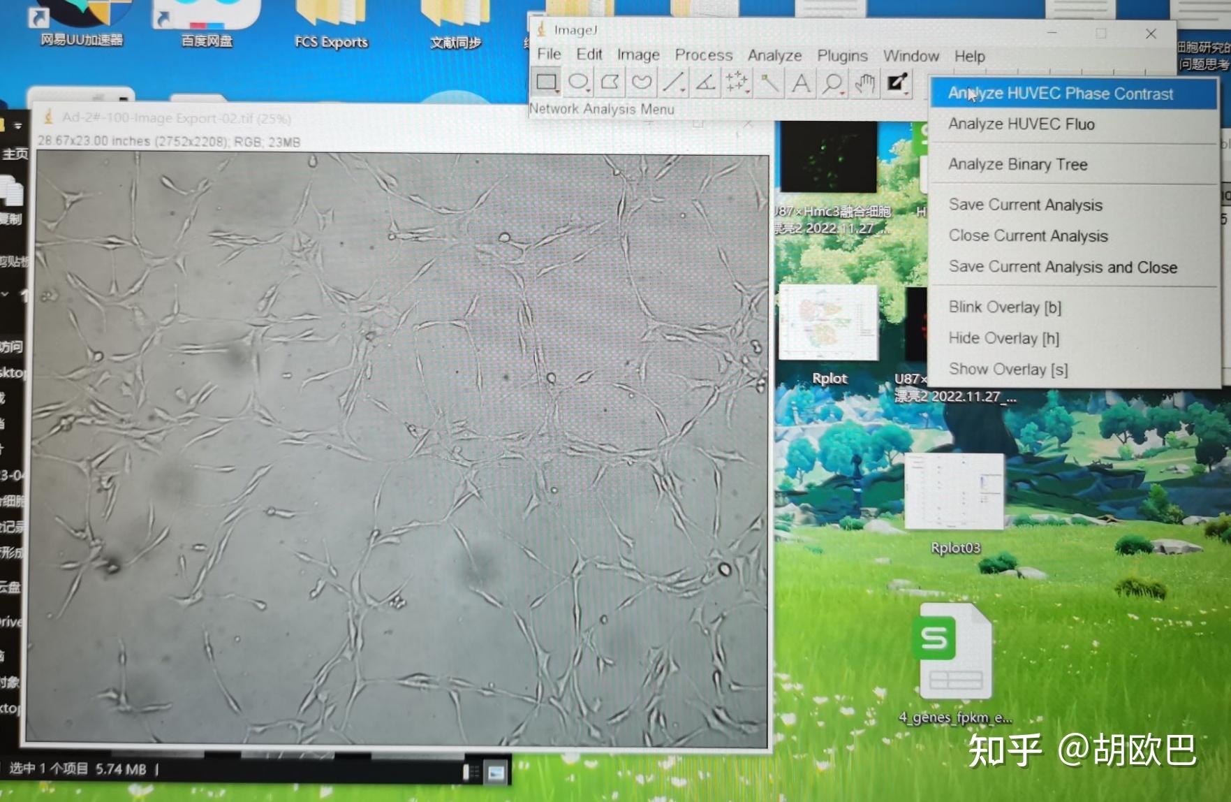ImageJ在分析血管形成时出现Macro Error的原因揭秘 - 知乎