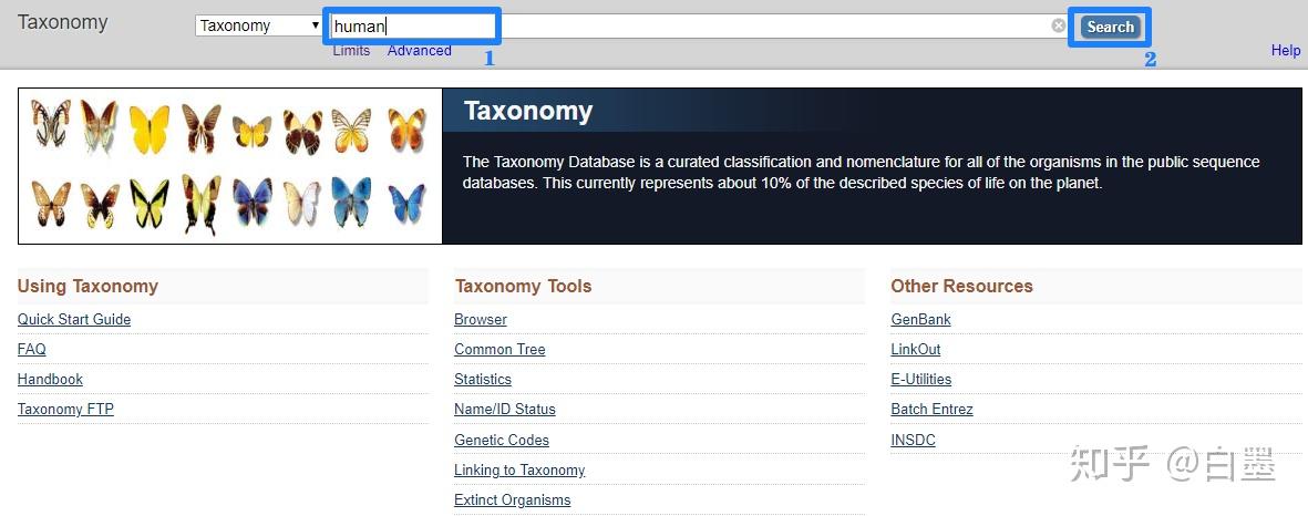 NCBI物种分类数据库（Taxonomy） - 知乎