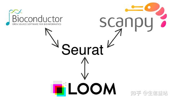 单细胞终极笔记之——Seurat、anndata/h5ad、LOOM、SingleCellExperiment 格式互相转换 - 知乎