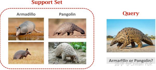 零基础入门Few-shot learning & Meta Learning & MAML - 知乎