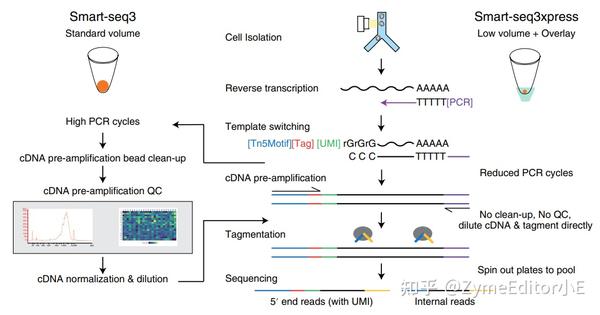 干货 │ Smart-seq3xpress：更低成本、更高通量的单细胞测序技术 - 知乎