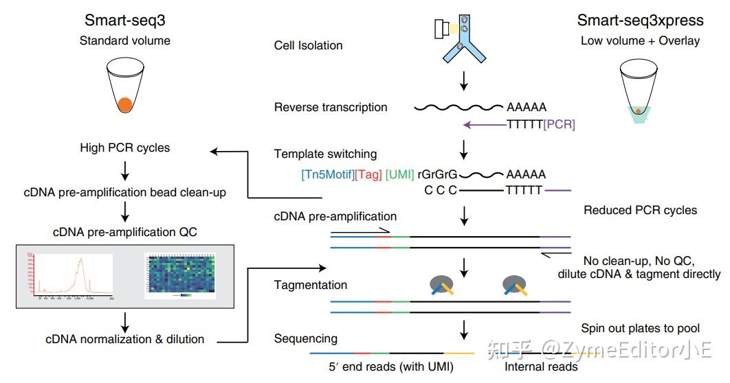 干货 │ Smart-seq3xpress：更低成本、更高通量的单细胞测序技术 - 知乎