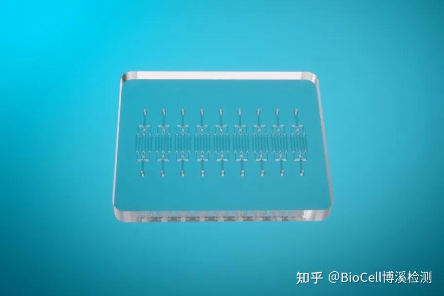 微流控芯片检测技术，引领护肤精准测评“芯”时代！ - 知乎