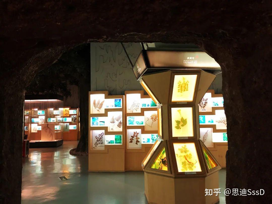 博物馆Vol.146 | 广东省博物馆 - 知乎