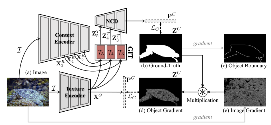 论文解读：（IJCAI 2022）Boundary-Guided Camouflaged Object Detection - 知乎
