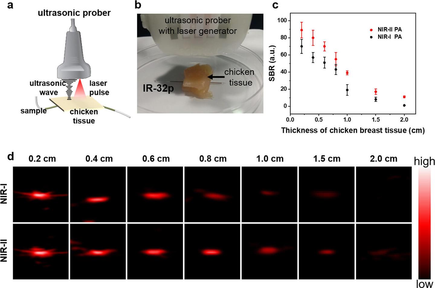 染料探针 | 在NIR-II激发下用于胶质瘤靶向成像的NIR-II光声/NIR-IIa荧光探针 - 知乎