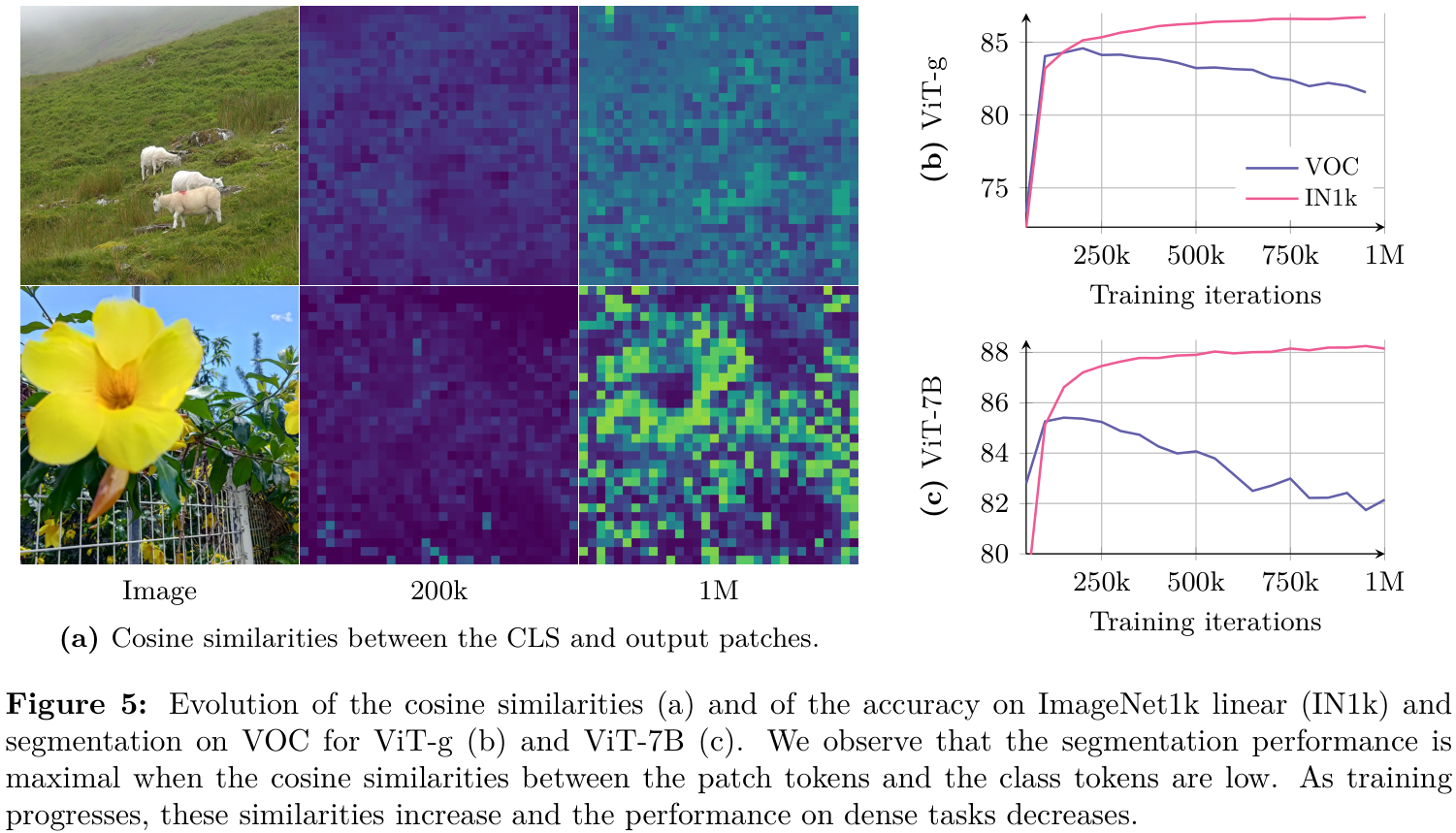 DINOv3震撼发布：Meta AI的视觉巨兽，重新定义自监督学习 - 知乎