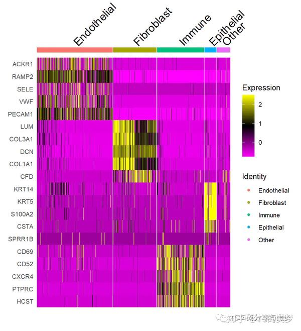 单细胞基因可视化之热图改造修饰1 - 知乎