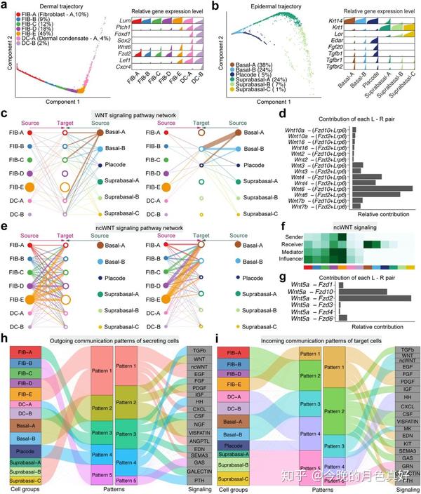 单细胞文章打卡57-CellChat - 知乎