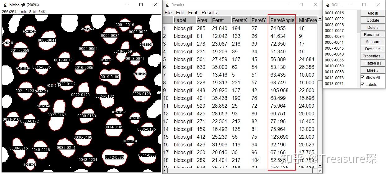 ImageJ实用教程——自动物体角度测量(解放双手篇) - 知乎