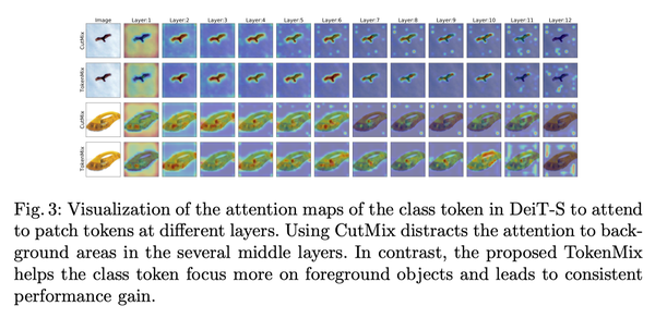 ECCV 2022 吊打MixUp和CutMix！MMLab&商汤提出超强数据增强策略《TokenMix》！ - 知乎