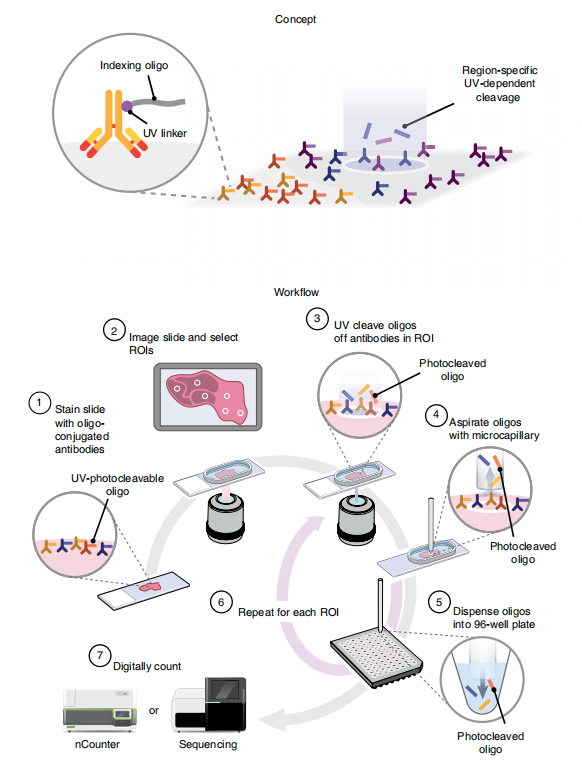 时空组学技术：生命科学和生物医学的前沿底层工具 | 时空简讯42期 - 知乎