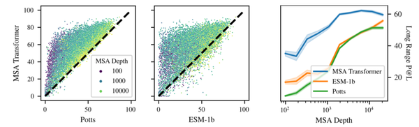 MSA transformer，alphafold2的前半部分？ - 知乎