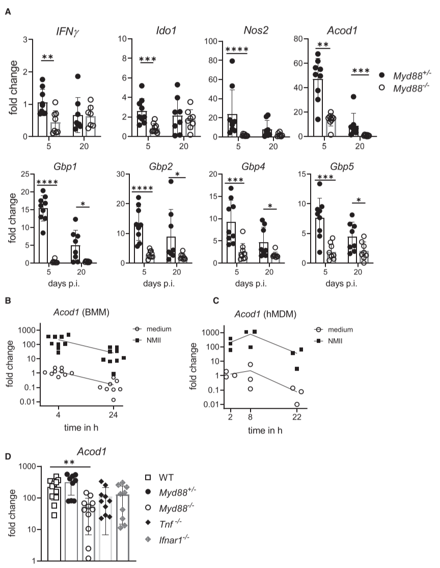 EMBO Mol Med丨14分丨巨噬细胞通过 ACOD1-衣康酸途径抑制伯氏柯克斯体以遏制 Q 热 - 知乎