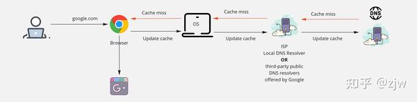 Domain Name System(DNS)域名服务器 - 知乎
