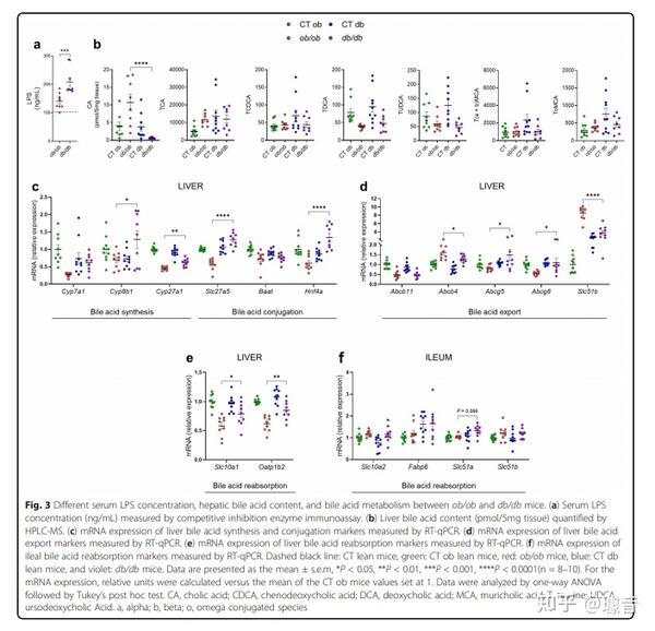 DBDB、OBOB二型糖尿病小鼠 - 知乎