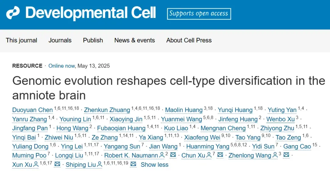 Dev. Cell | Stereo-seq助力构建羊膜类跨物种单细胞图谱，解密3.2亿年大脑演化之谜 - 知乎