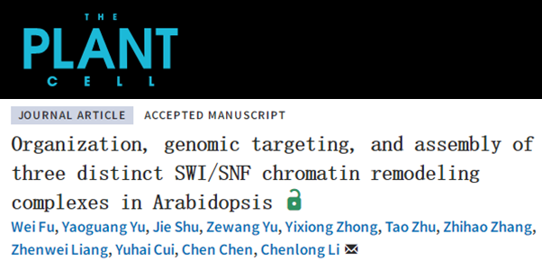 Plant Cell | 中山大学李陈龙课题组揭示植物SWI/SNF染色质重塑复合体靶基因结合及组装的分子机制 - 知乎