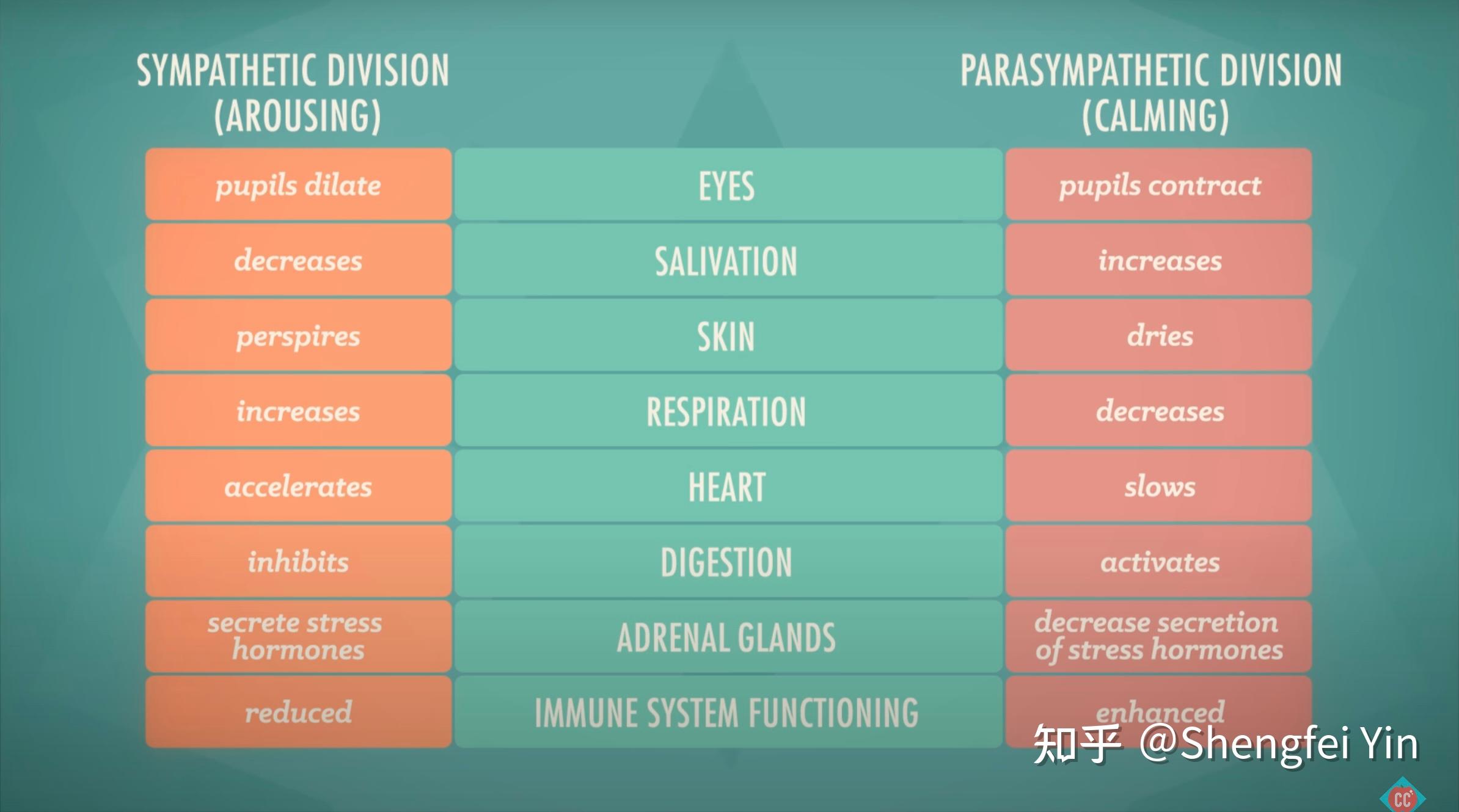 Emotion, Stress, & Health - Crash Course Psychology #26 - 知乎