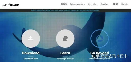 两款大牛都在用的抓包工具：Wireshark、BurpSuite - 知乎