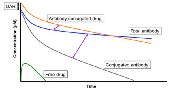 ADC的药代动力学(PK) - 知乎
