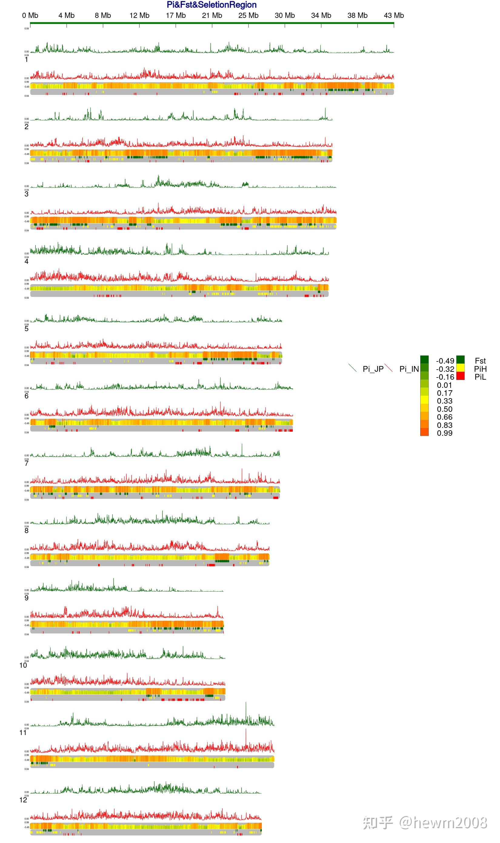 RectChr之 群体选择信号作图 - 知乎