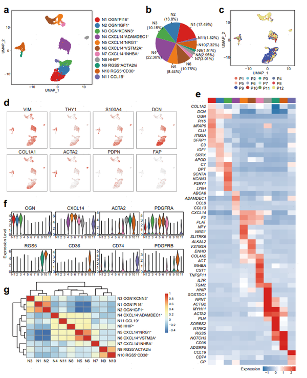 项目文章 | 单细胞技术绘制结肠粘膜成纤维细胞图谱 - 知乎