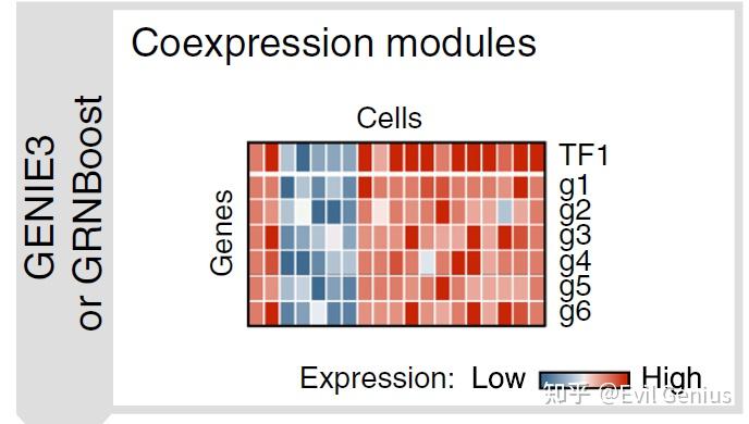 单细胞个性化分析之转录因子篇 - 知乎