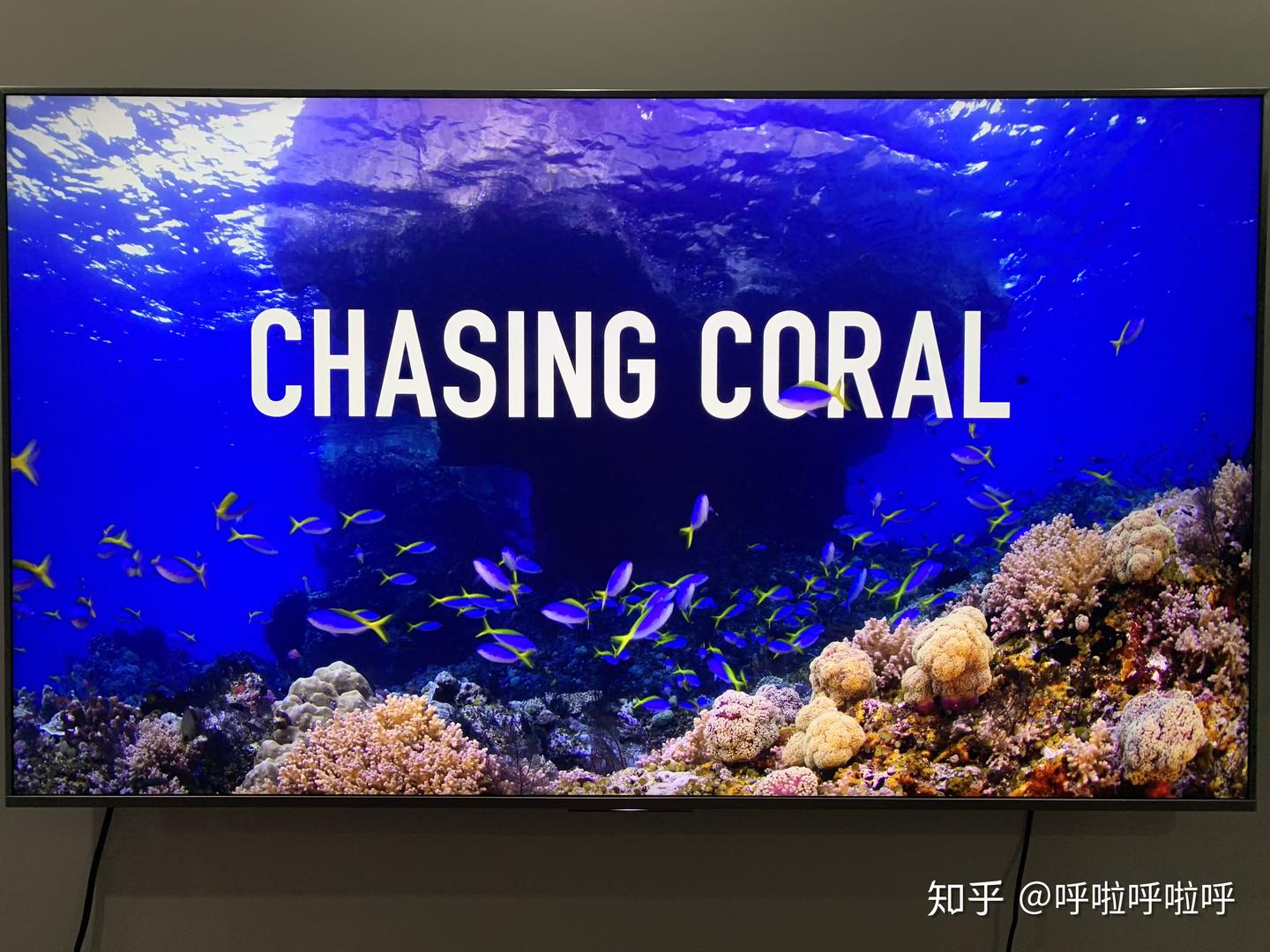 4K厅 篇一：4K纪录片究竟有多少？珍藏好这份全球最全4K超清蓝光纪录片清单（第1-10部） - 知乎