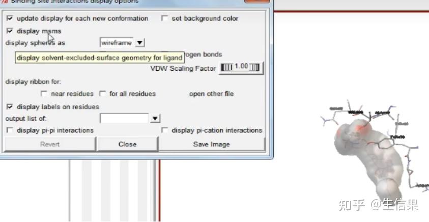 小果带你Autodock快速检查vina对接结果中是否生成氢键6 - 知乎