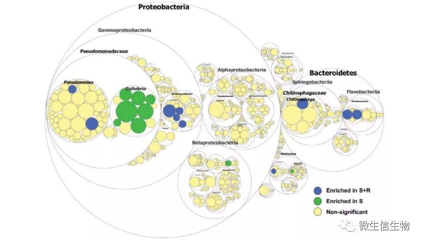 Maptree-层级结构数据展示的绝佳尝试 - 知乎