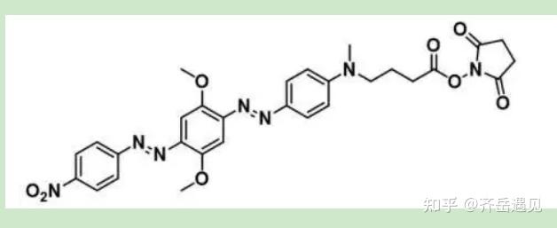 CAS:916753-62-3|BHQ-2 NHS ester|BHQ-2琥珀酰亚胺酯|一种暗猝灭剂的介绍 - 知乎