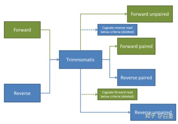 生信软件 | Trimmomatic (测序数据质控) - 知乎