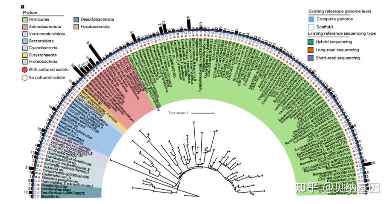 文献解读| Nature microbiology封面文章—内蒙古人肠道微生物群的高质量基因组简编 - 知乎