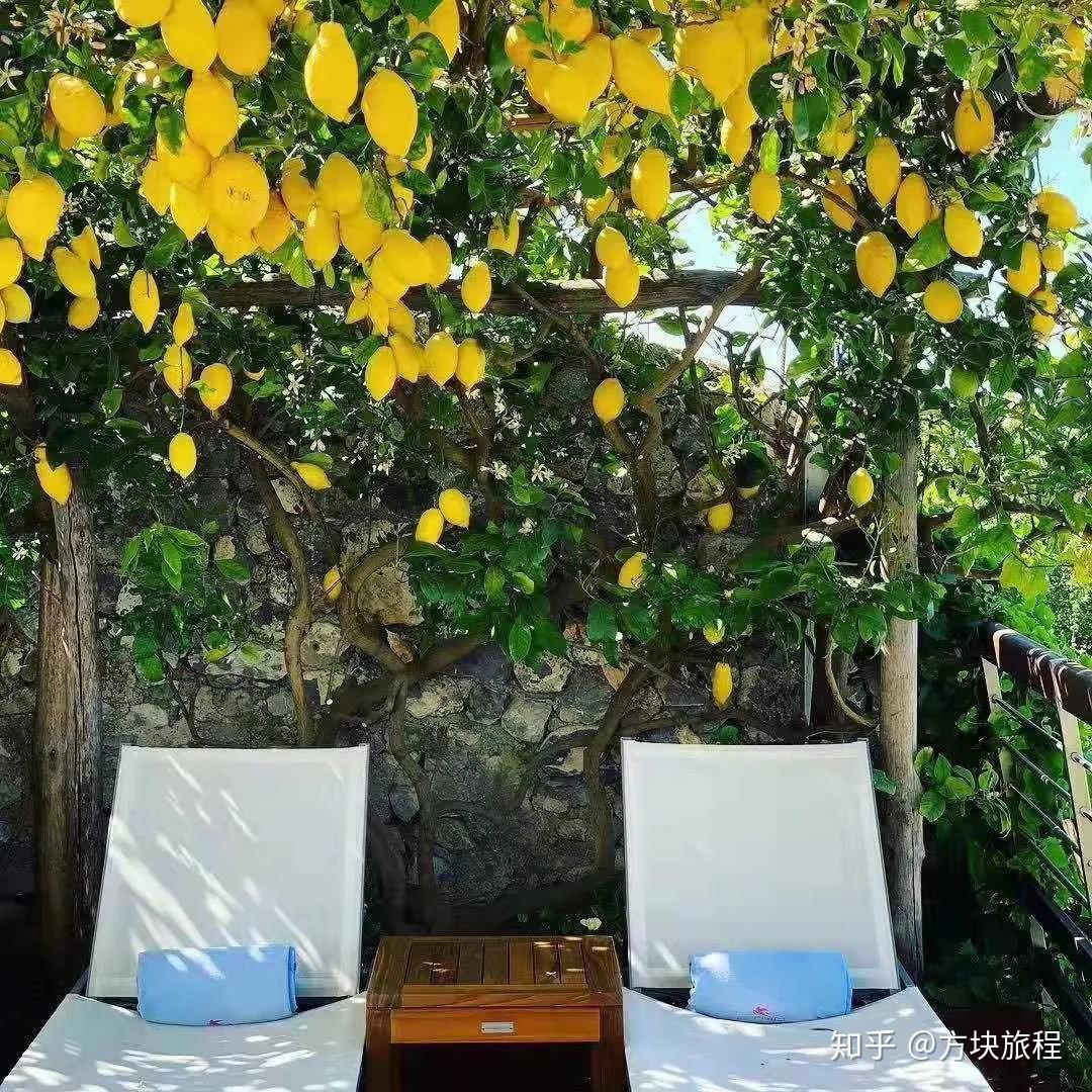 当湛蓝的海水与柠檬树相遇，开启意大利南部小众旅行 知乎