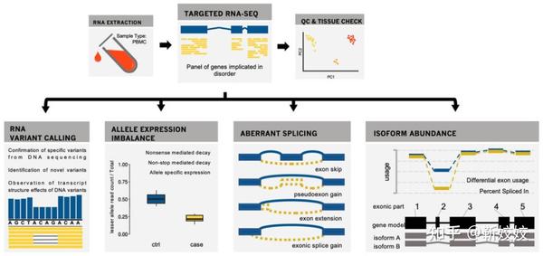 IDT靶向 RNAseq 助力提高极早发性儿科免疫失调的临床诊断 - 知乎