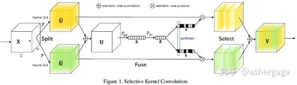 【论文解读】SKNet网络（自适应调整感受野尺寸） - 知乎