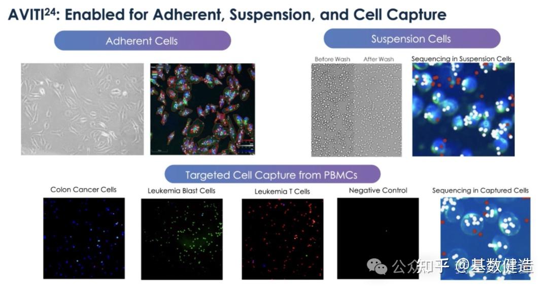 率先Q50之后， Element Bio正在把AVITI测序仪打造成一台细胞多组学分析仪！ - 知乎